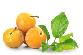 Prune Jaune bio (un)